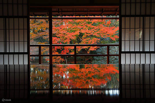Miho Museum of Art & Former Bamboo Forest & Lake Biwa Shirahige Shrine Day Tour - Klook Singapore